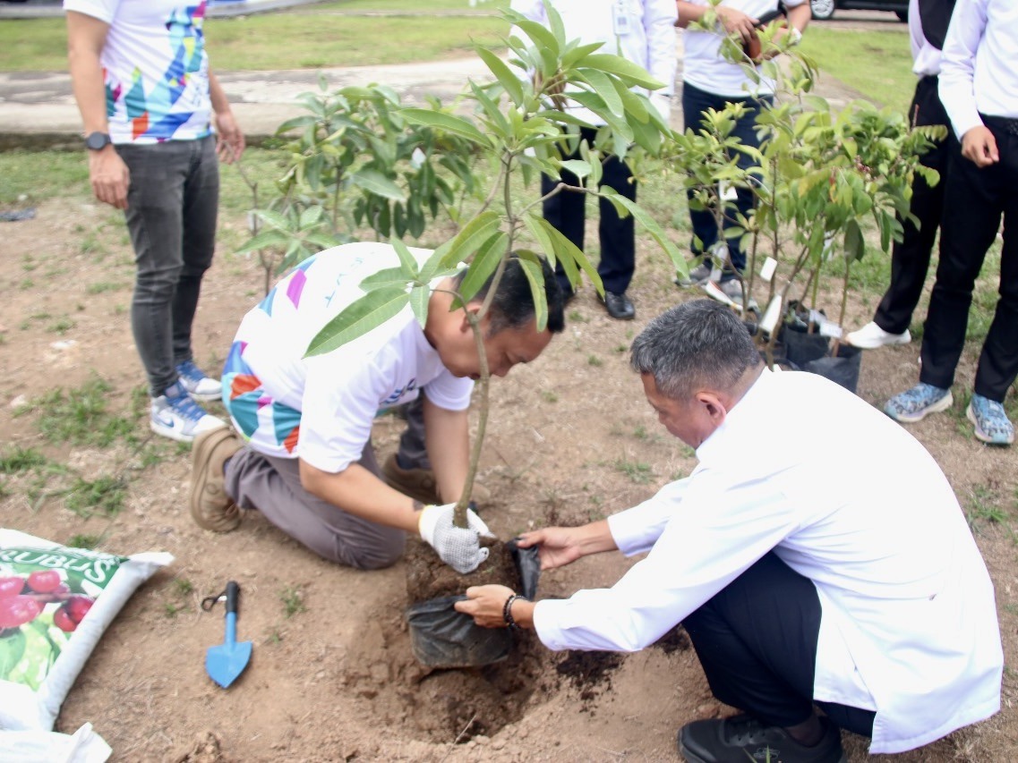 Hari Menanam Pohon, PLN Icon Plus Gelar Tanam Pohon Serentak - Bisnistoday
